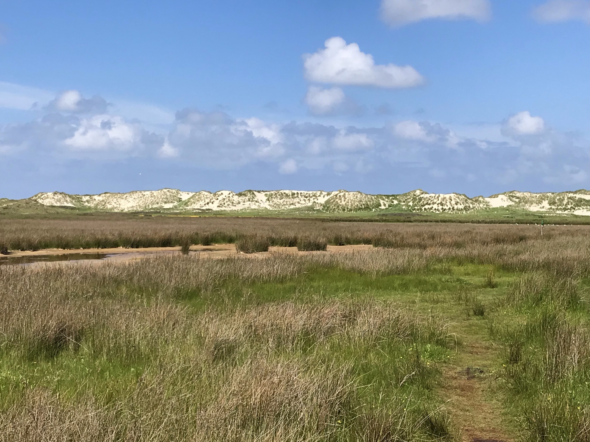 Pure Erholung im Ostland von Borkum - Kultreiseblog